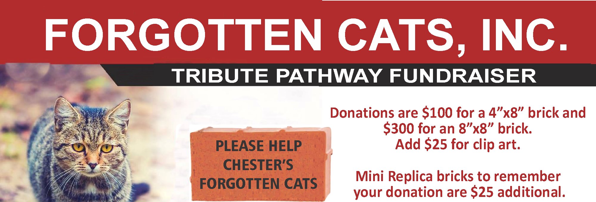 Forgotten Cats Tribute Pathway Fundraiser